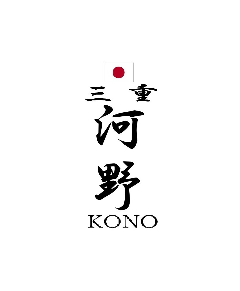 Zekken Iaido with flag