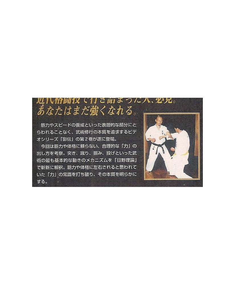 Kageden 2-HINO Akira. Explanations and demonstrations of his method.