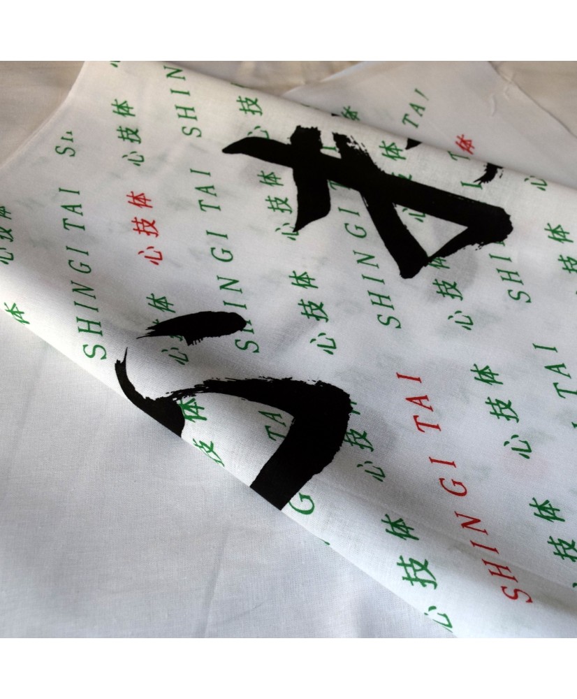 KENDO TENUGUI SHINGITAI: mind, technique and body are in harmony.